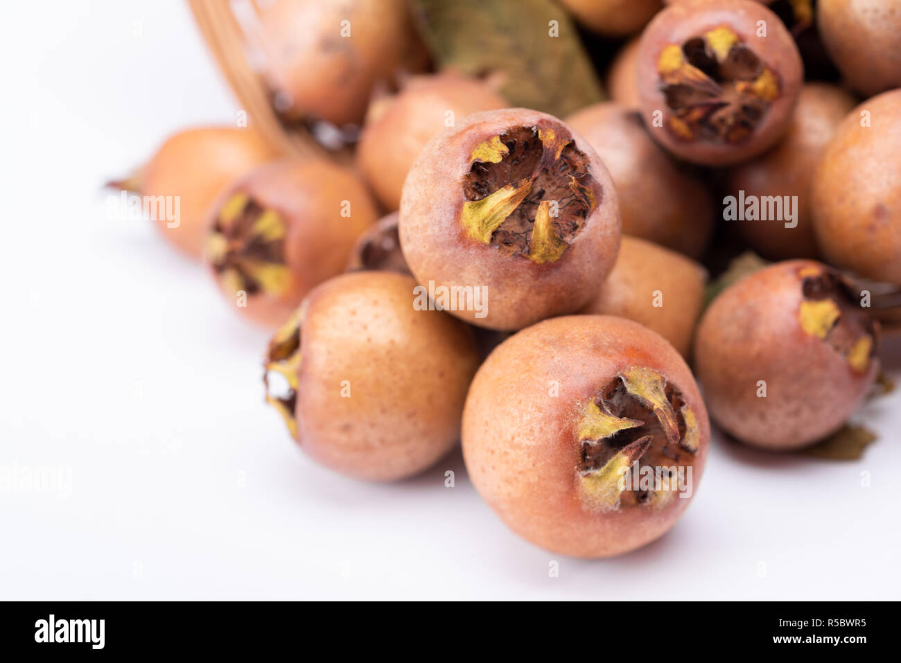 Frucht mispel -Fotos und -Bildmaterial in hoher Auflösung – Alamy