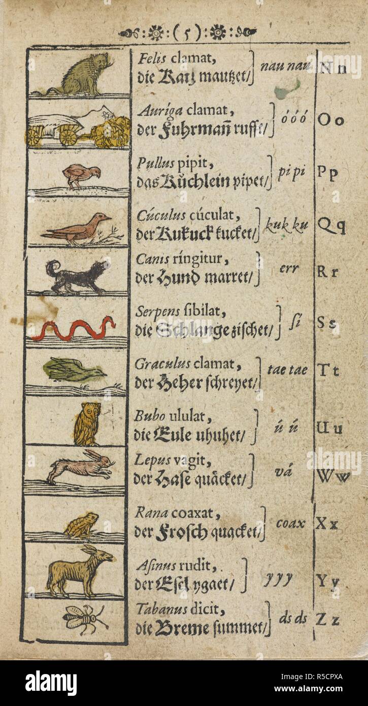 Orbis sensualium pictus -Fotos und -Bildmaterial in hoher Auflösung – Alamy