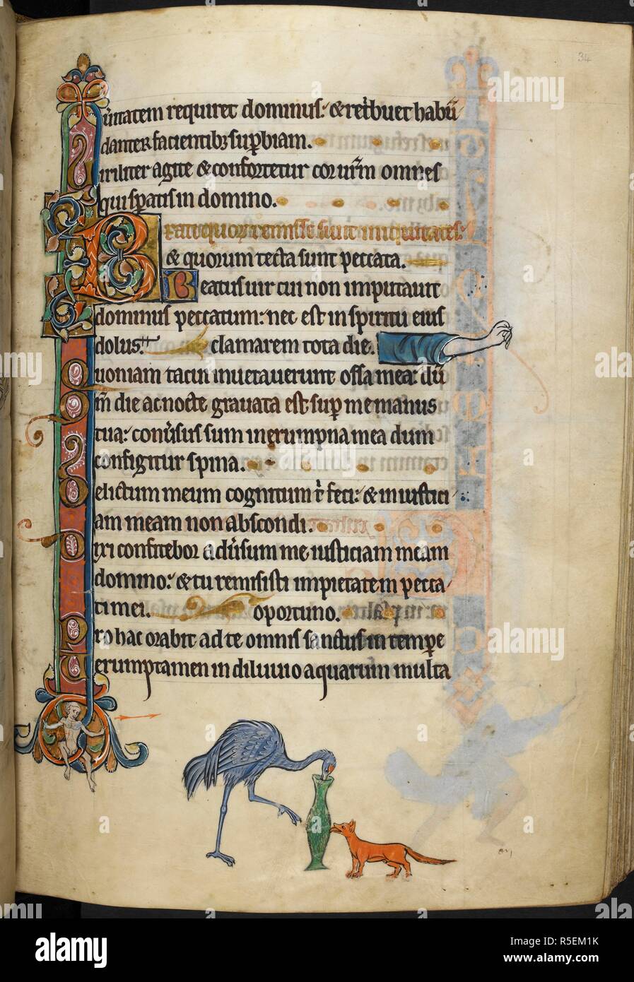 Rutland psalter -Fotos und -Bildmaterial in hoher Auflösung – Alamy