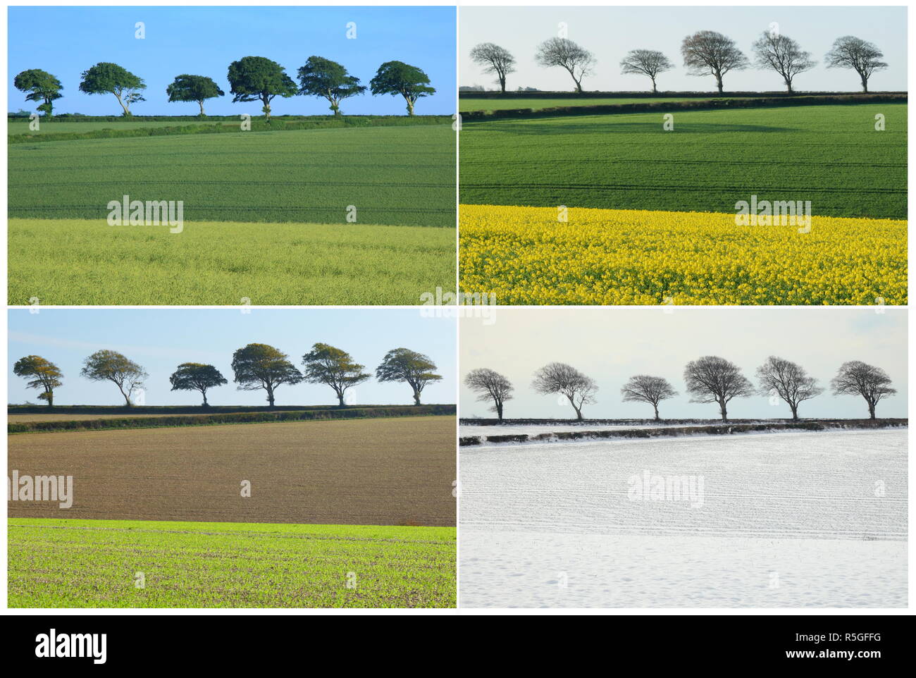 Vier jahreszeiten herbst -Fotos und -Bildmaterial in hoher Auflösung – Alamy