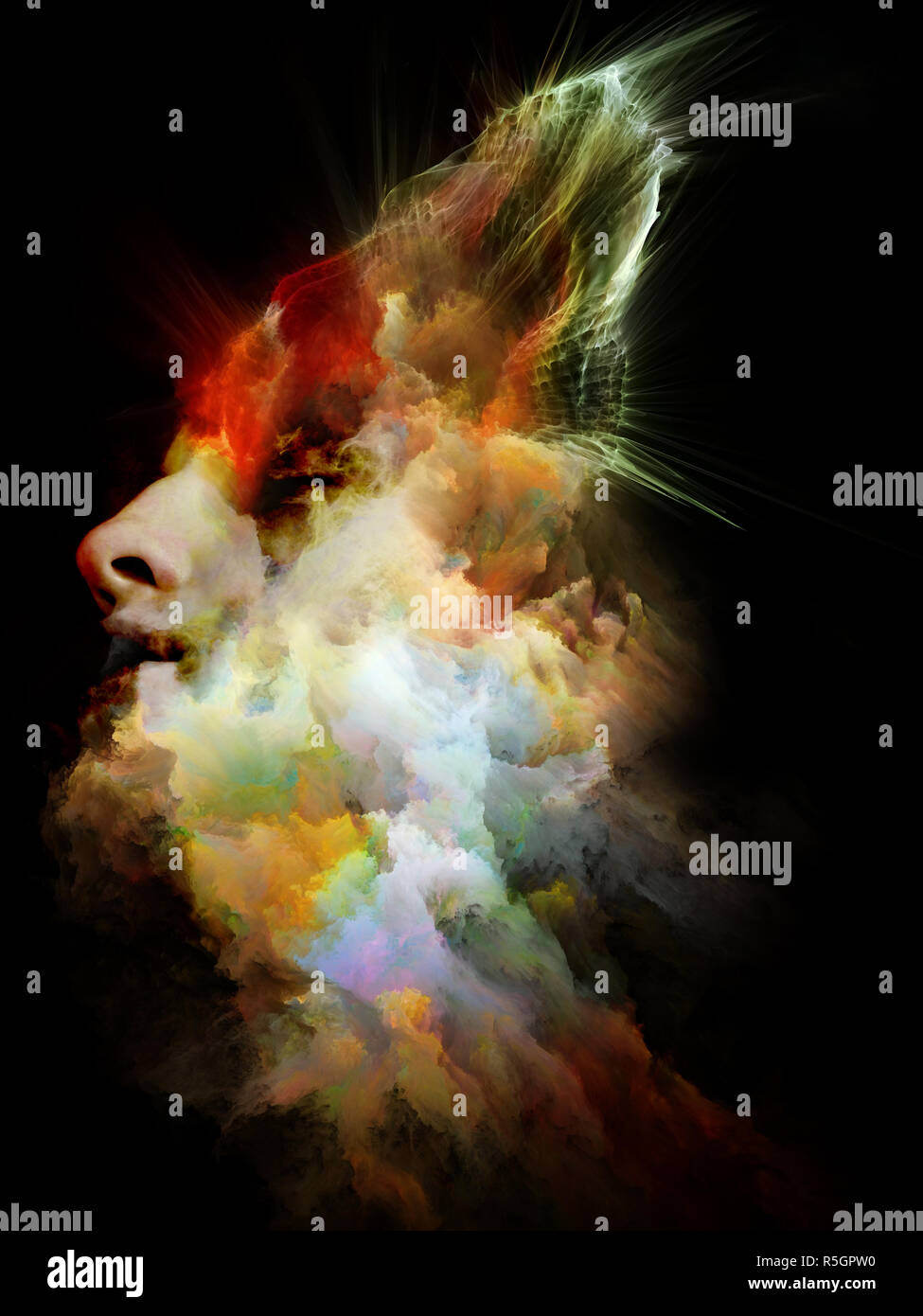 Scharfer intellekt -Fotos und -Bildmaterial in hoher Auflösung – Alamy