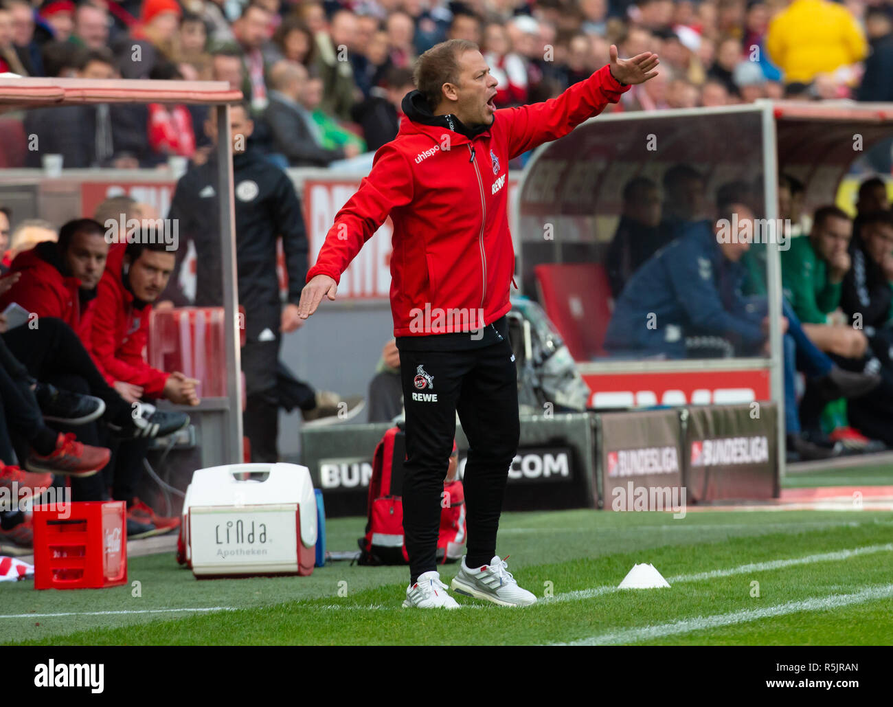 Saison 2018 2019 1 league -Fotos und -Bildmaterial in hoher Auflösung ...