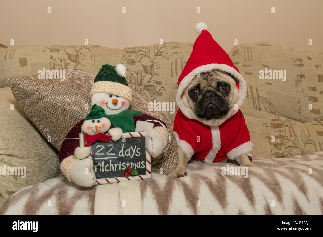 Laufen auf -Fotos und -Bildmaterial in hoher Auflösung – Alamy