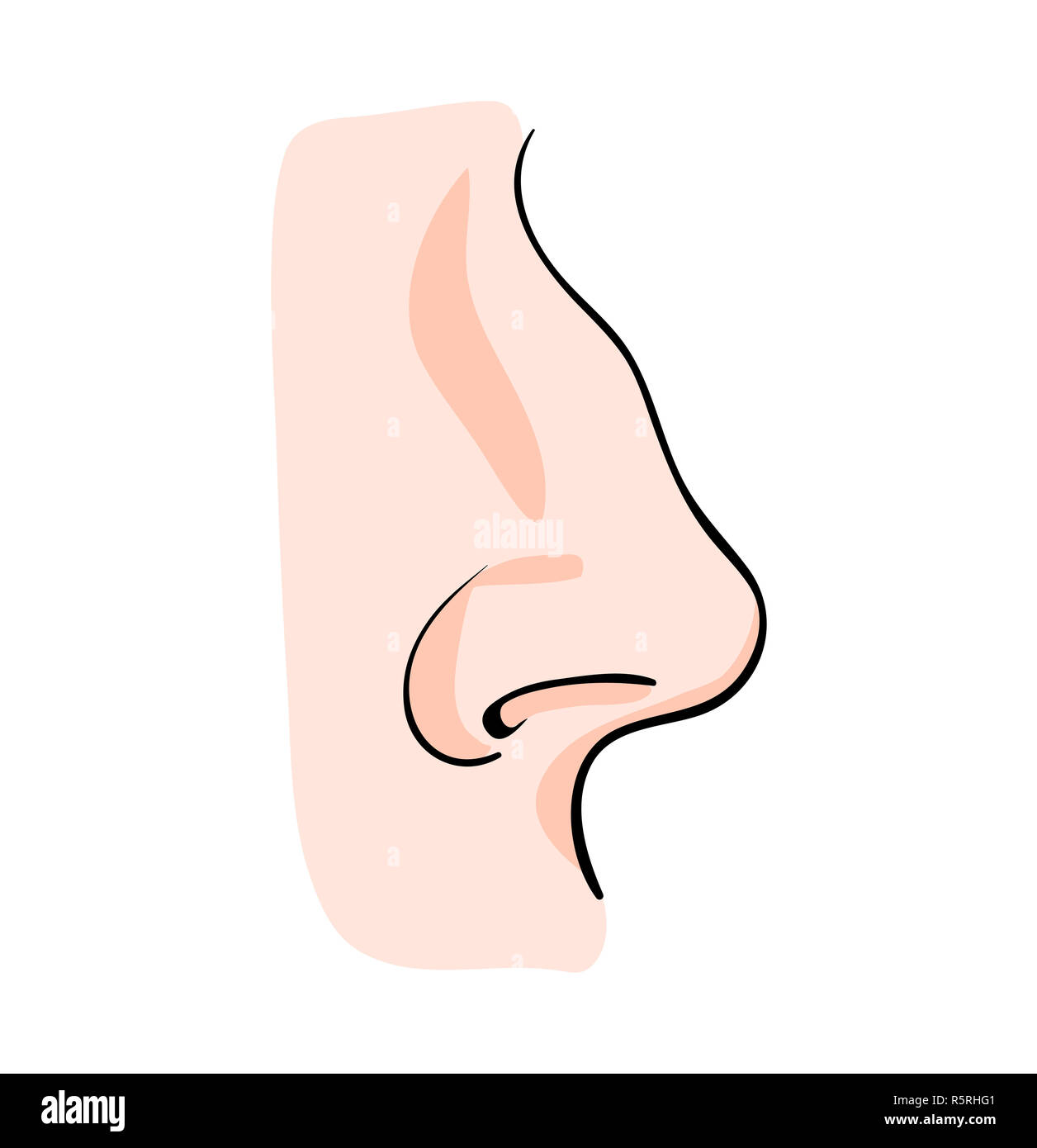 Cartoon Nase Vektor symbol Icon Design. Schöne Abbildung auf weißem ...