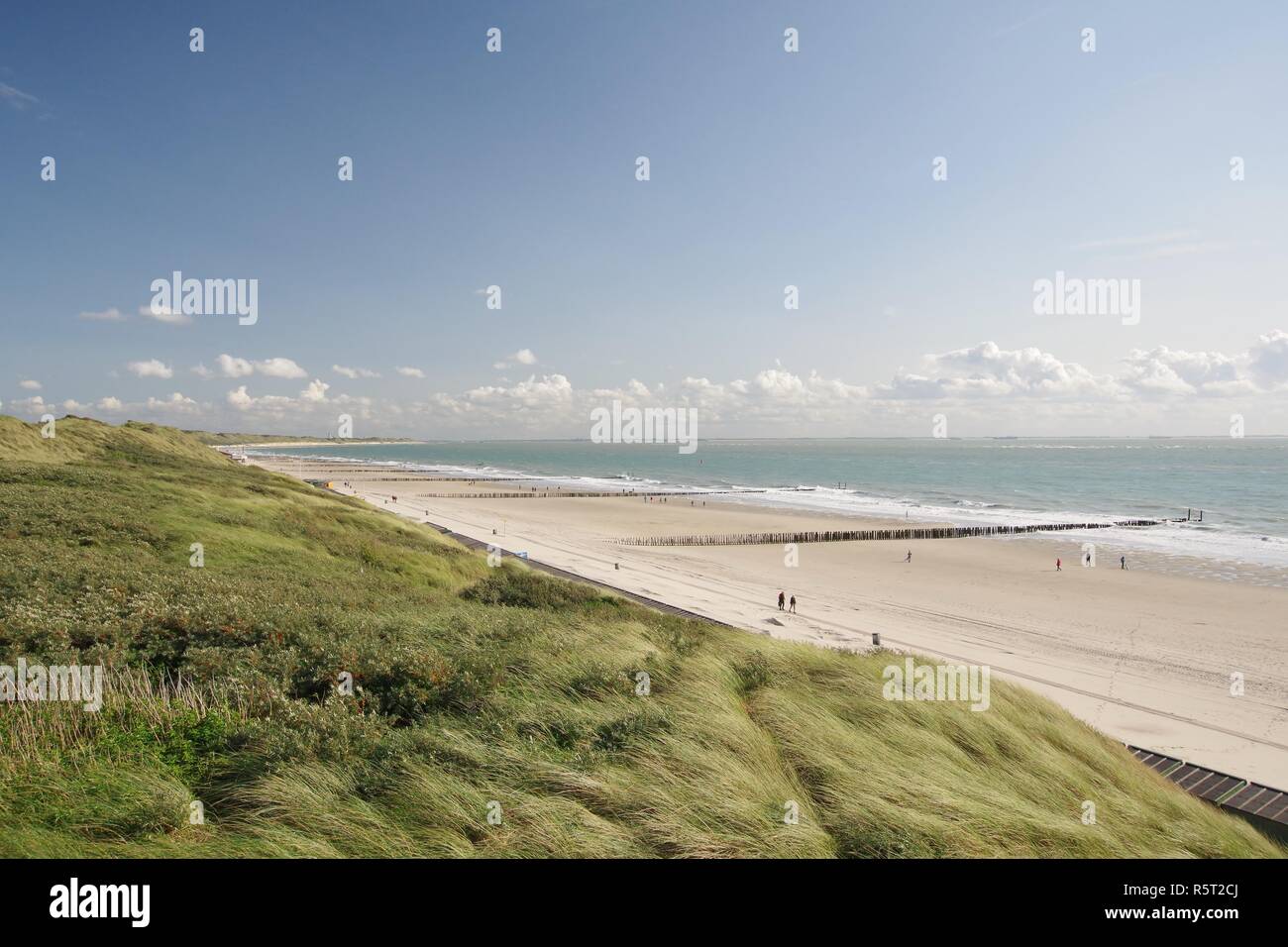 Deich, Dünen, Strand und Nordsee mit buhnen in Zoutelande, walcheren ...