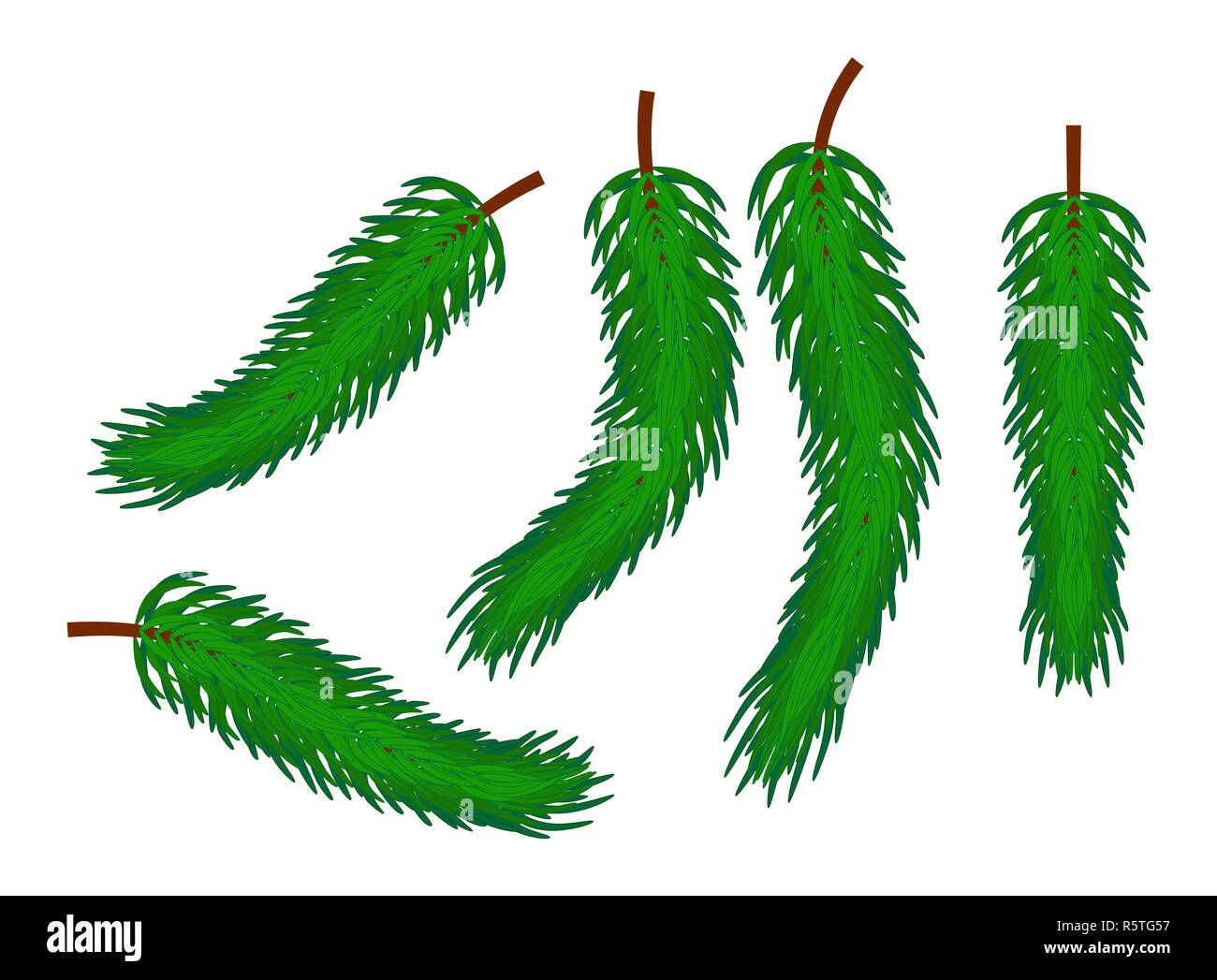 Weihnachten tanne Zweig, cartoon Design für Karte, Icon, Symbol. Winter ...