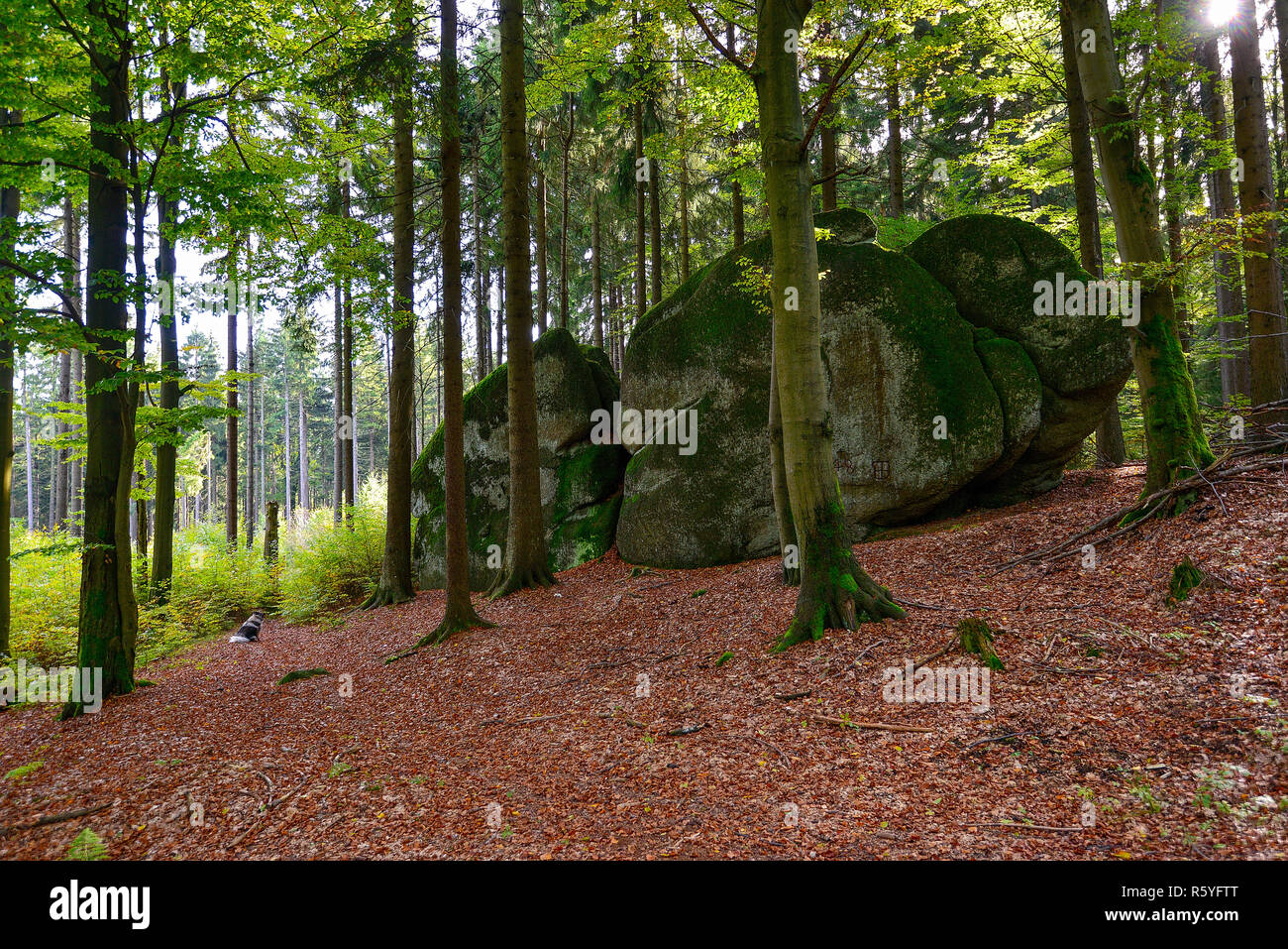 Fichtelgebirge granit -Fotos und -Bildmaterial in hoher Auflösung – Alamy