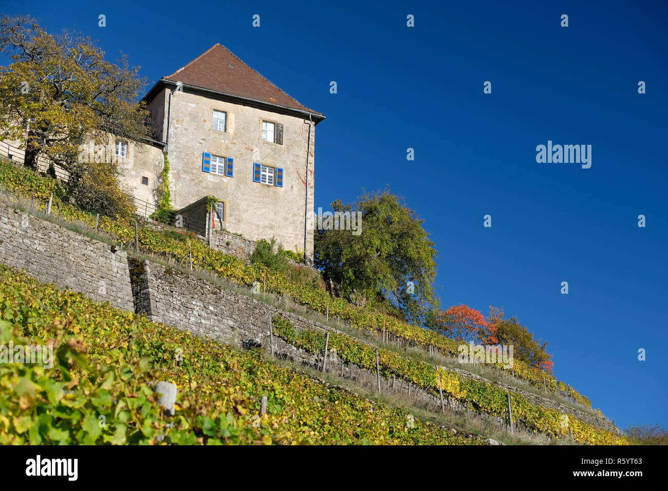 Ga tzenburg -Fotos und -Bildmaterial in hoher Auflösung – Alamy