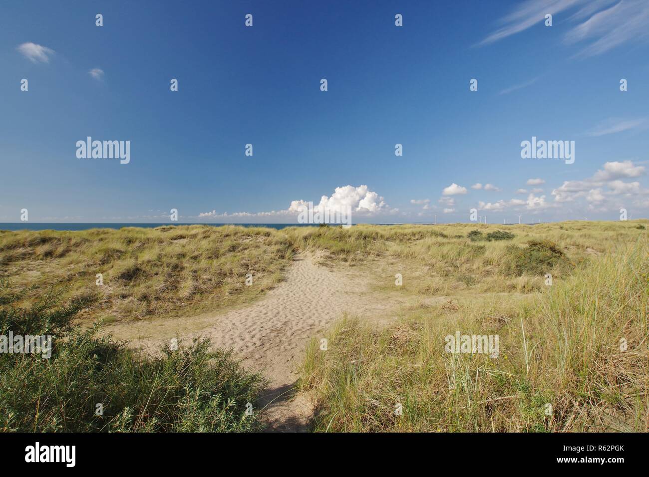Dünen, Strand und Nordsee im De Banjaard, - Noord Beveland, Zeeland ...