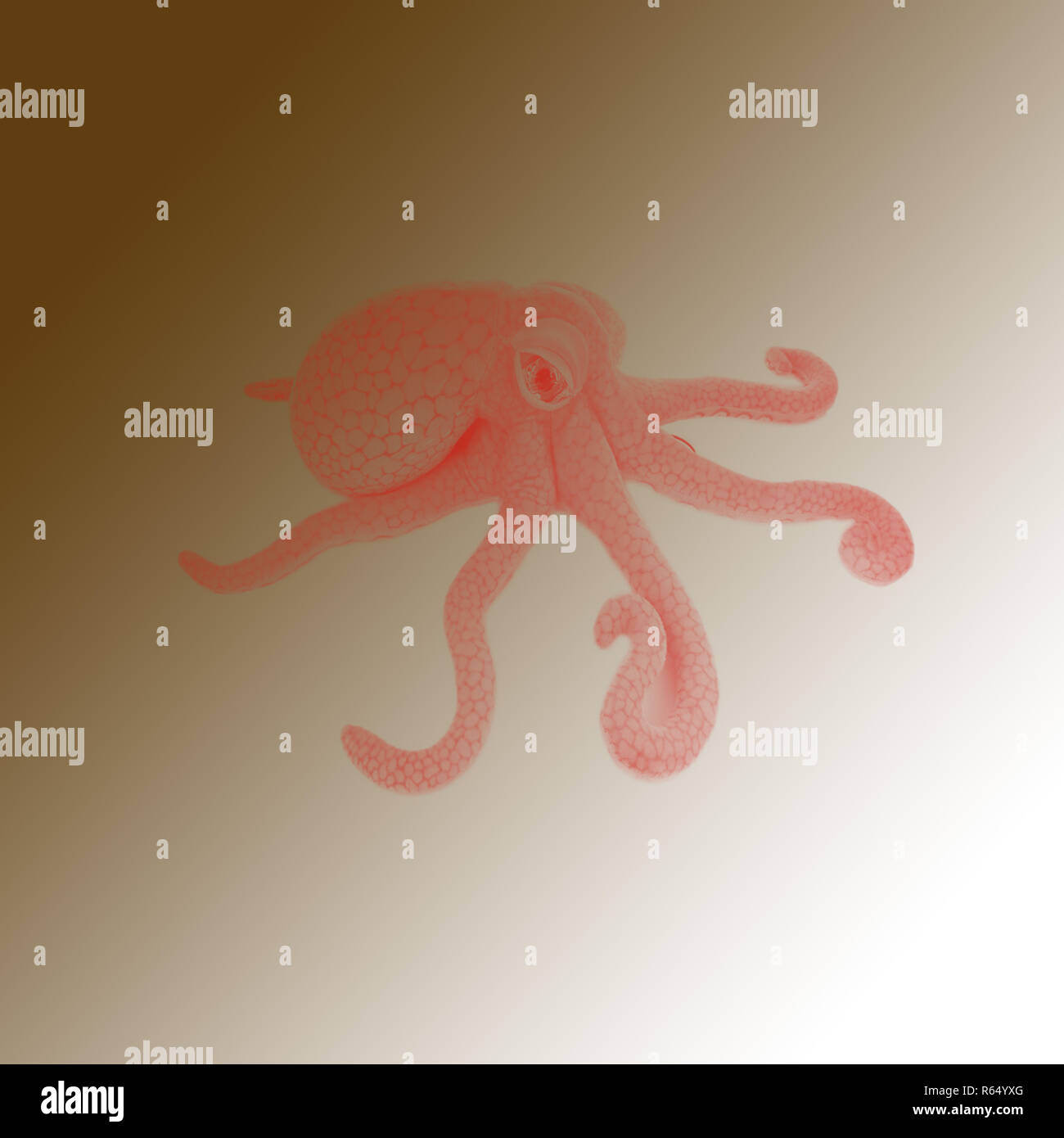 Animals Octopus Stockfotos und -bilder Kaufen - Alamy