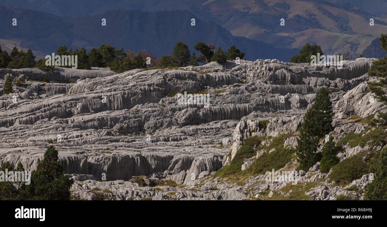 Erosion kalkstein verwitterung -Fotos und -Bildmaterial in hoher ...