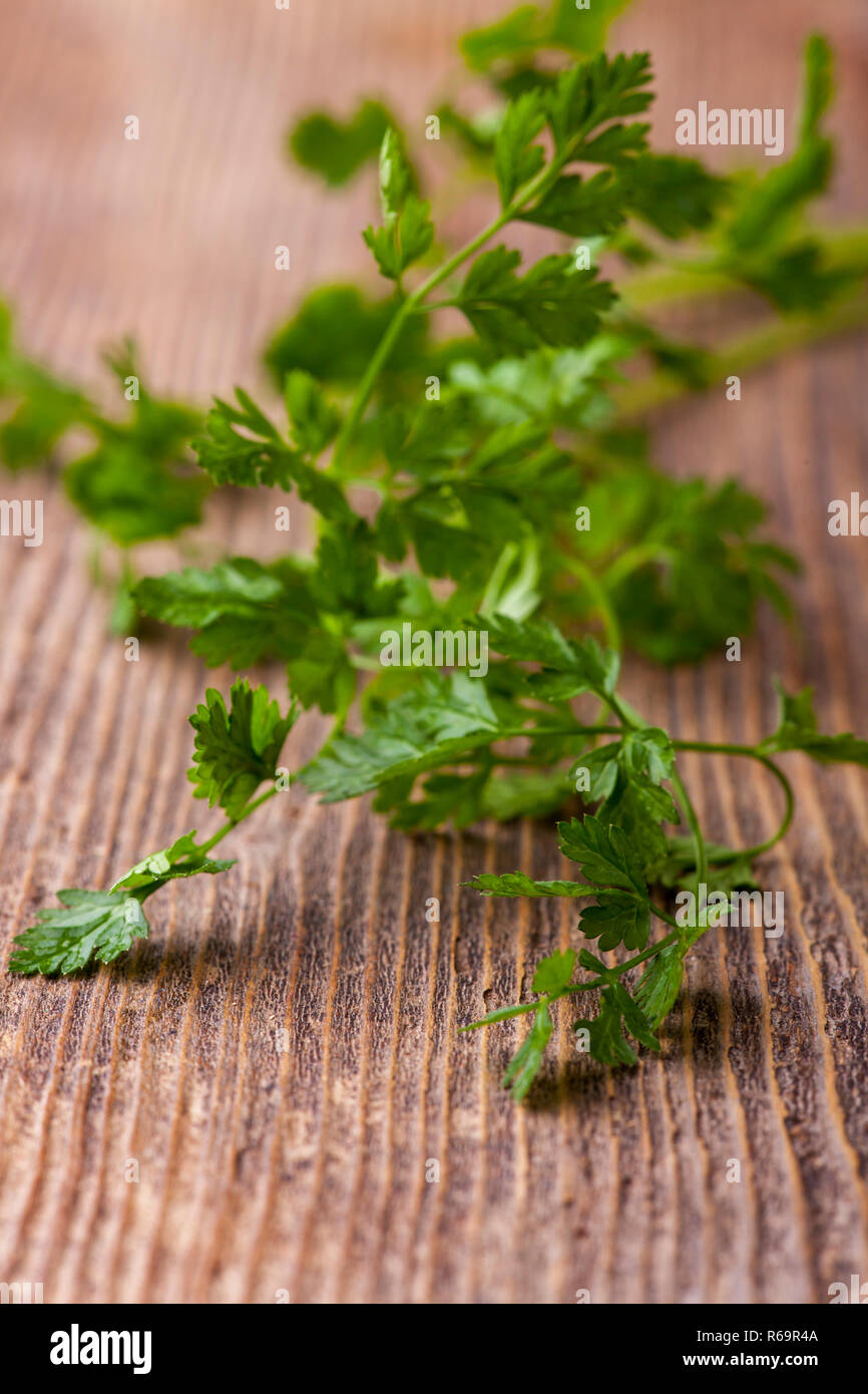 Kerbel haufen -Fotos und -Bildmaterial in hoher Auflösung – Alamy