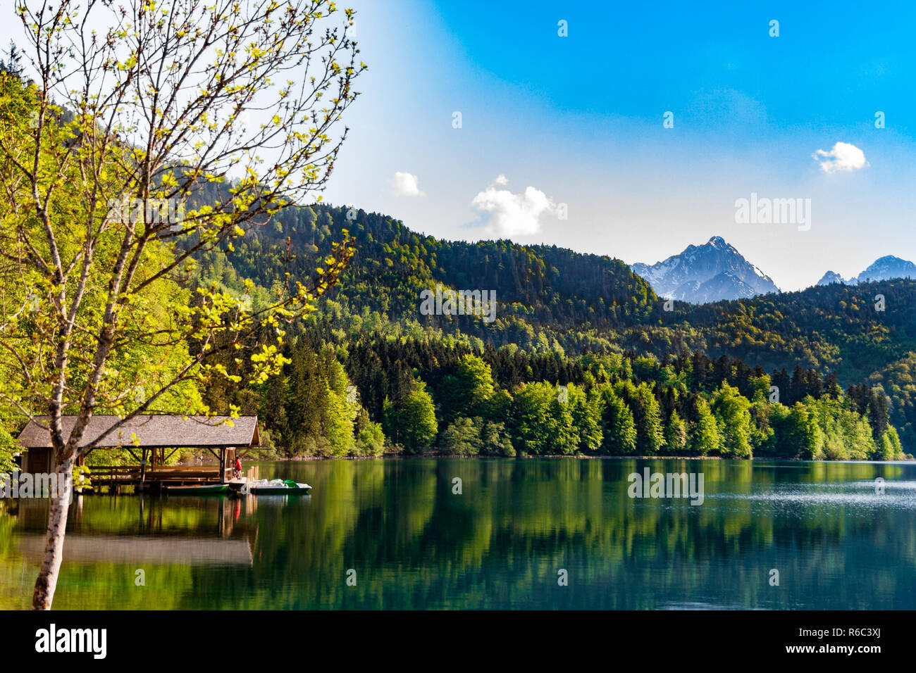 Lake alpsee -Fotos und -Bildmaterial in hoher Auflösung – Alamy
