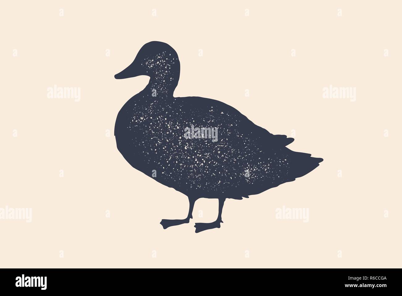 Piktogramm der ente Stock-Vektorgrafiken kaufen - Alamy