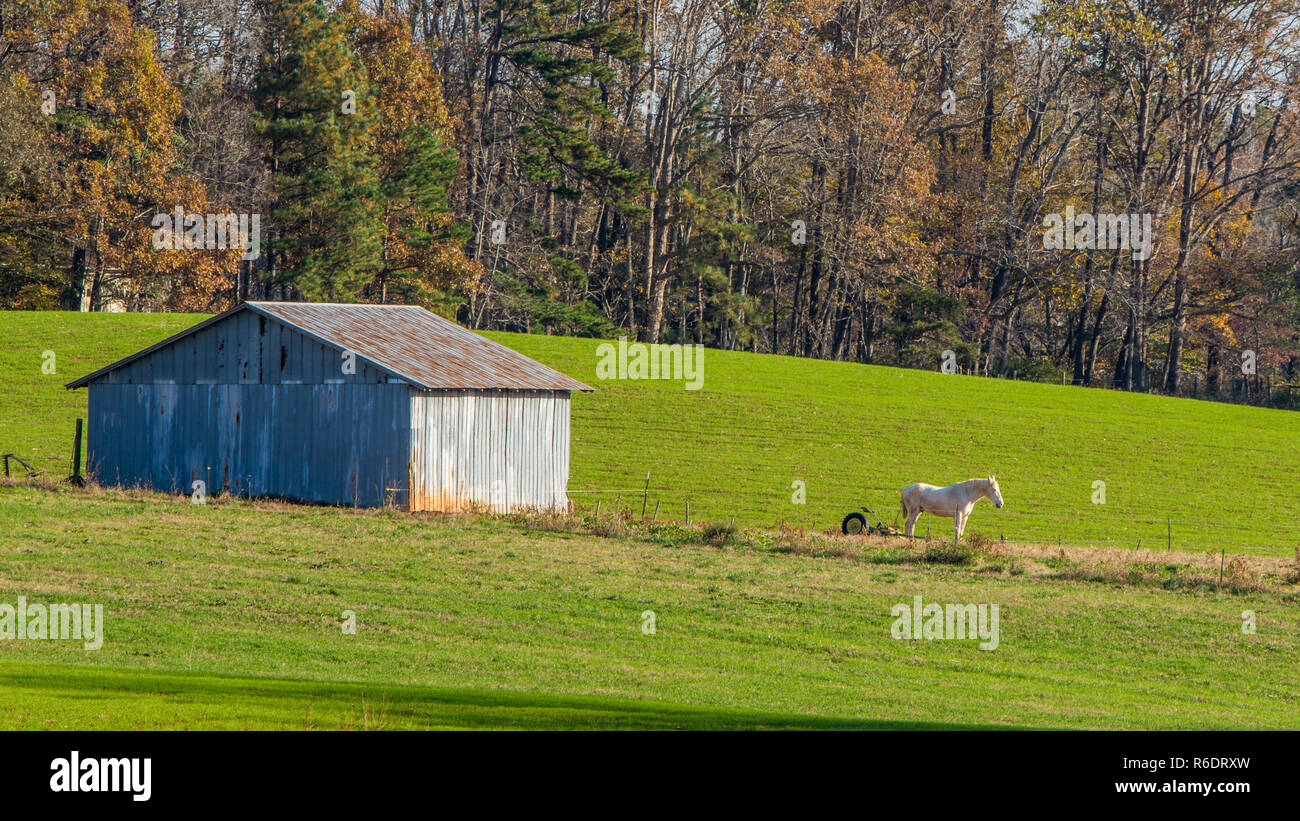 Wiese mit scheune und wald im hintergrund -Fotos und -Bildmaterial in hoher Auflösung – Alamy