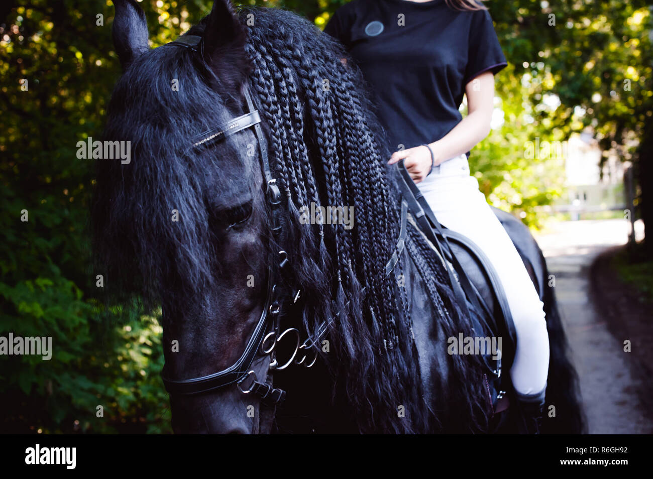 Elegant woman riding in horse -Fotos und -Bildmaterial in hoher ...