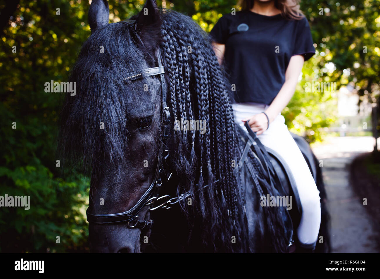 Woman riding friesian horse -Fotos und -Bildmaterial in hoher Auflösung ...