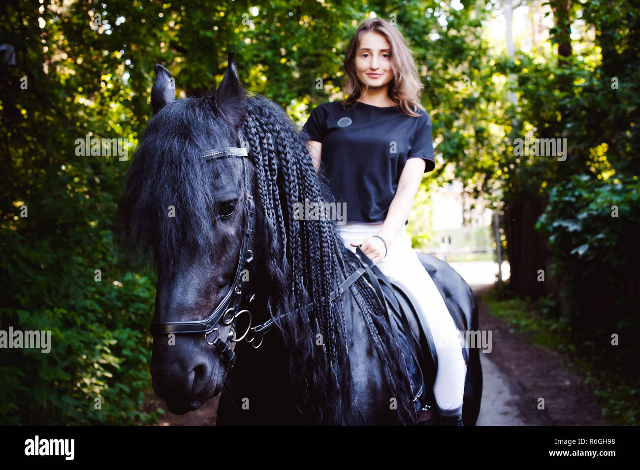 Woman riding friesian horse -Fotos und -Bildmaterial in hoher Auflösung ...