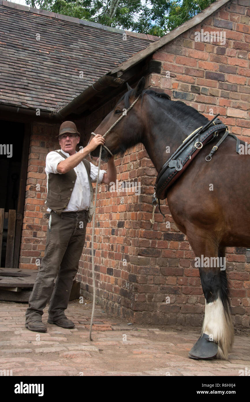Shire horse society -Fotos und -Bildmaterial in hoher Auflösung – Alamy