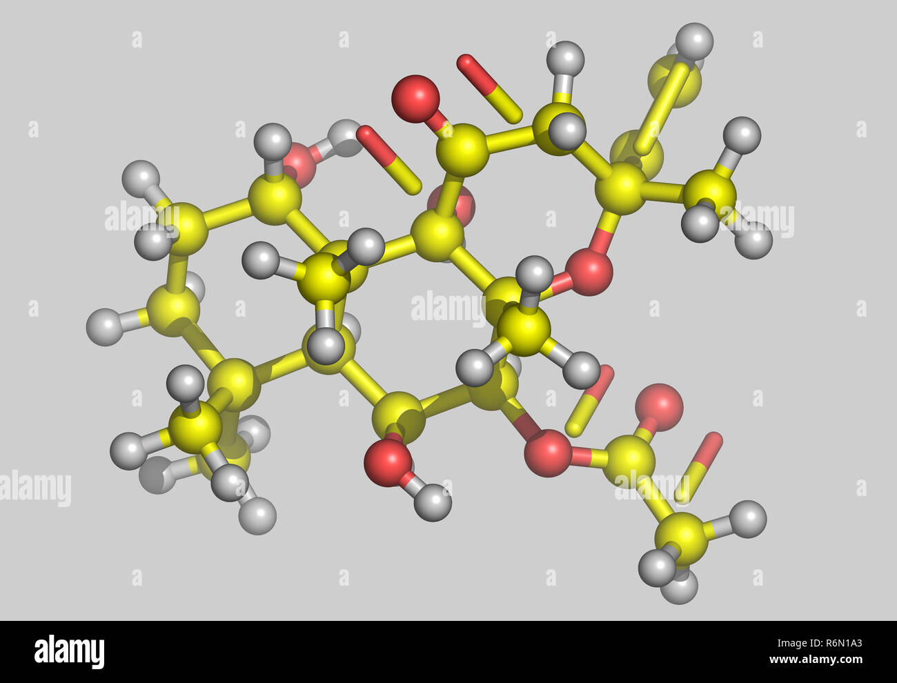 Diterpen -Fotos und -Bildmaterial in hoher Auflösung – Alamy