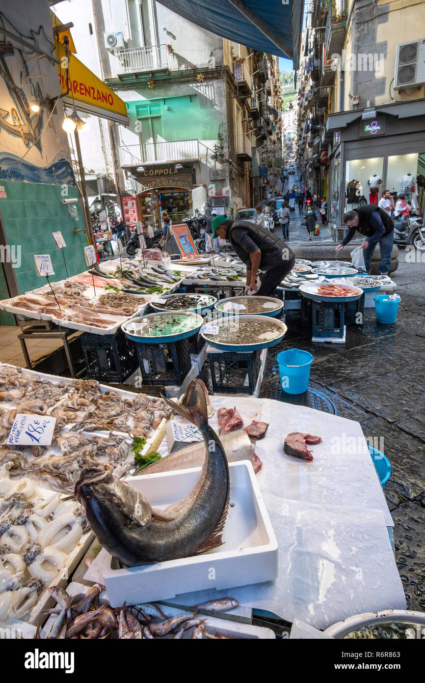 Fish market in naples italy -Fotos und -Bildmaterial in hoher Auflösung ...
