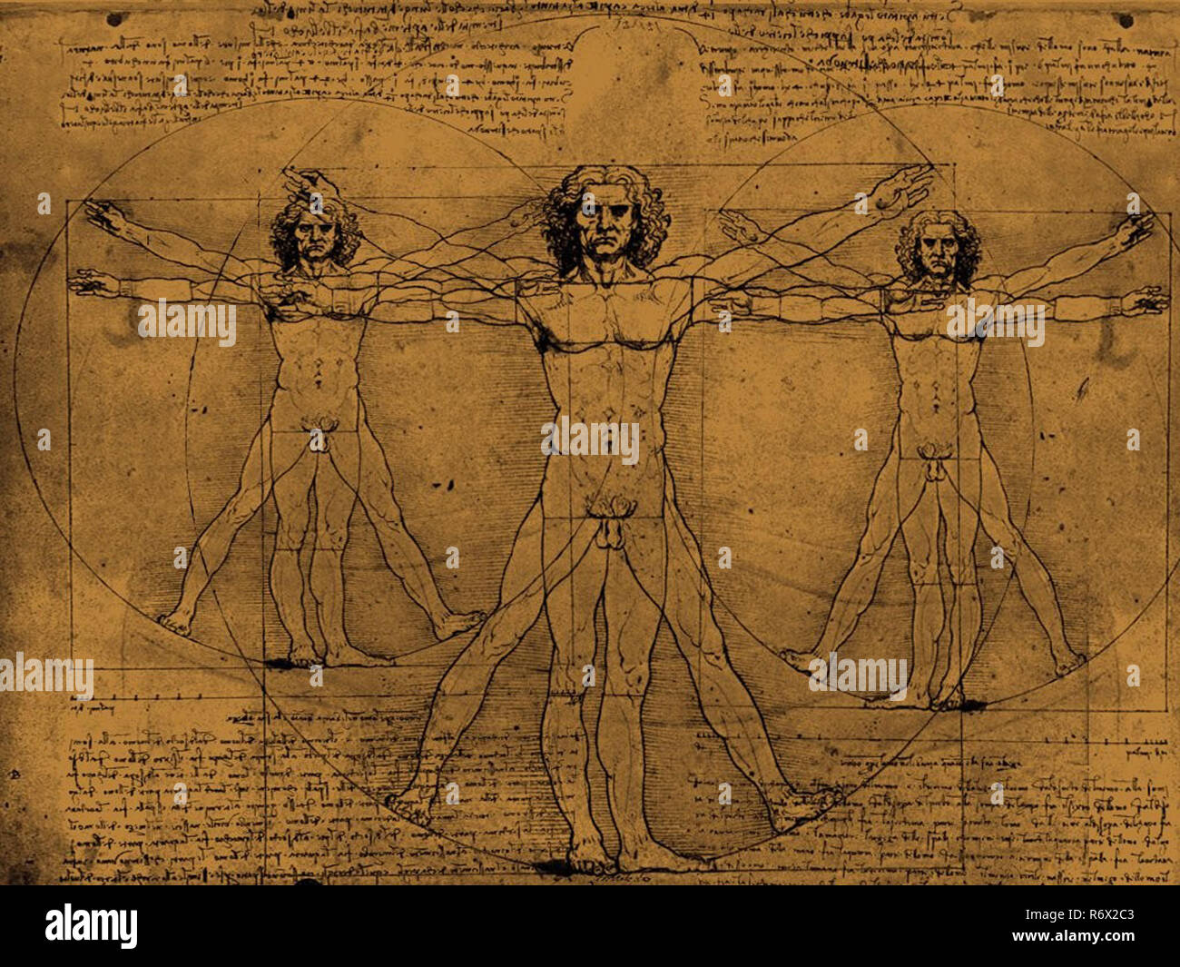 Vitruvianischer mann von da vinci -Fotos und -Bildmaterial in hoher Auflösung – Alamy