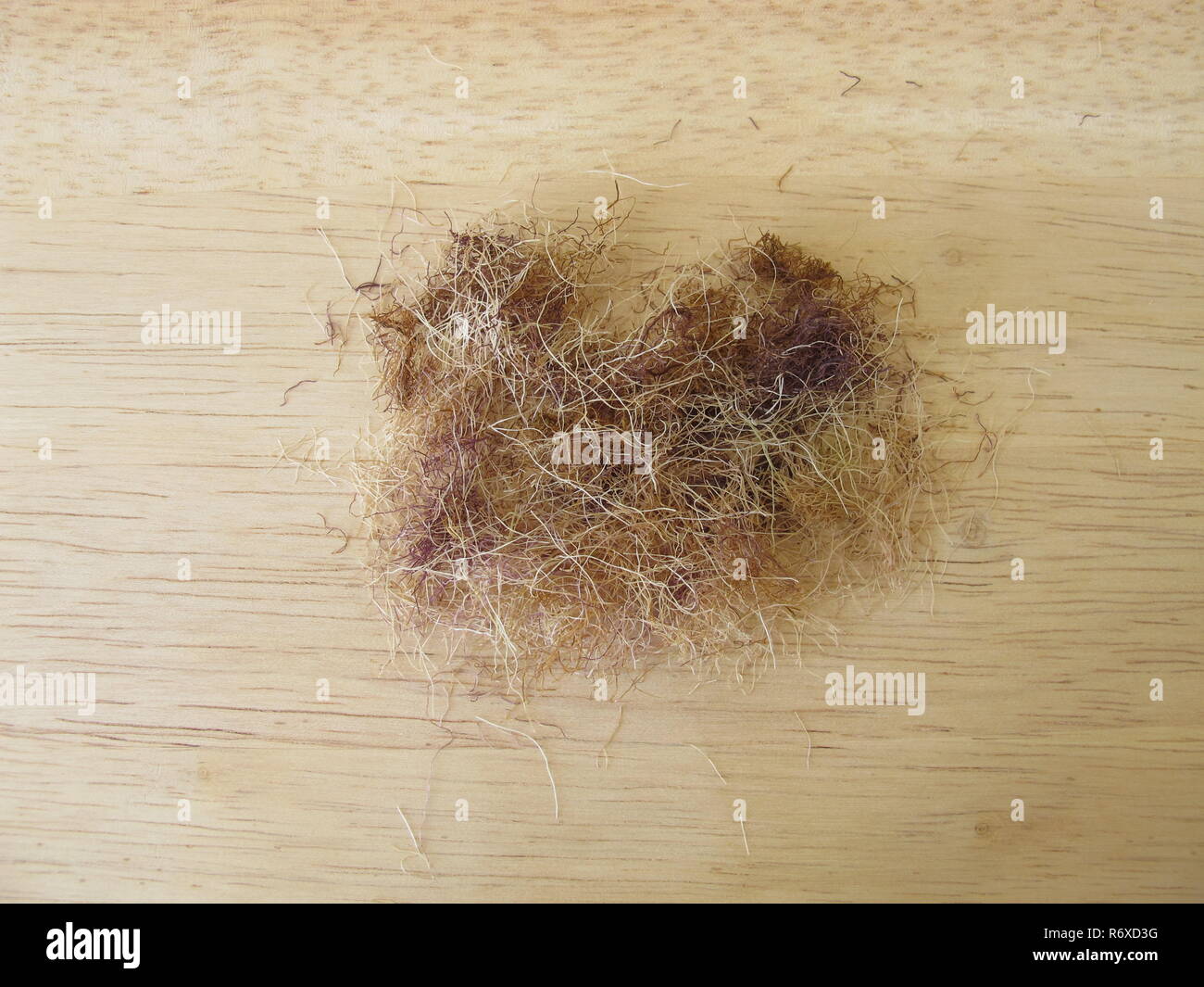 Fadenfa rmig -Fotos und -Bildmaterial in hoher Auflösung – Alamy