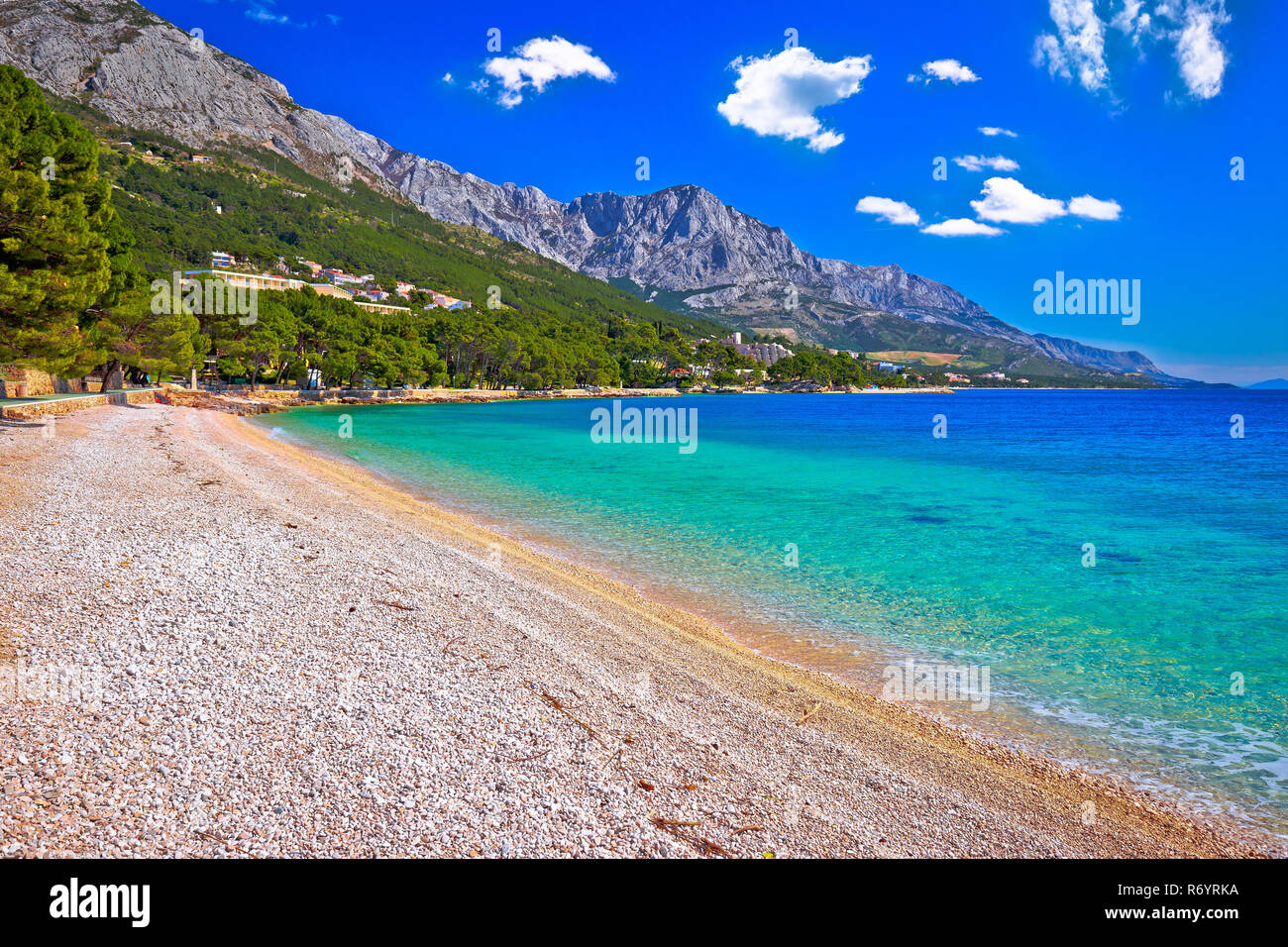 Punta rata -Fotos und -Bildmaterial in hoher Auflösung – Alamy