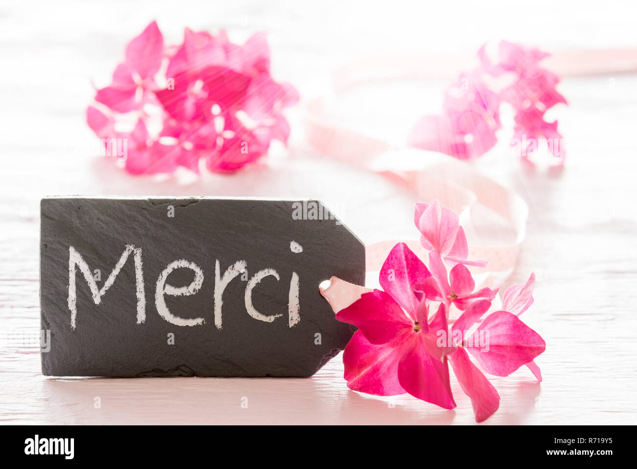 Sign French Text Merci Means Stockfotos und -bilder Kaufen - Alamy