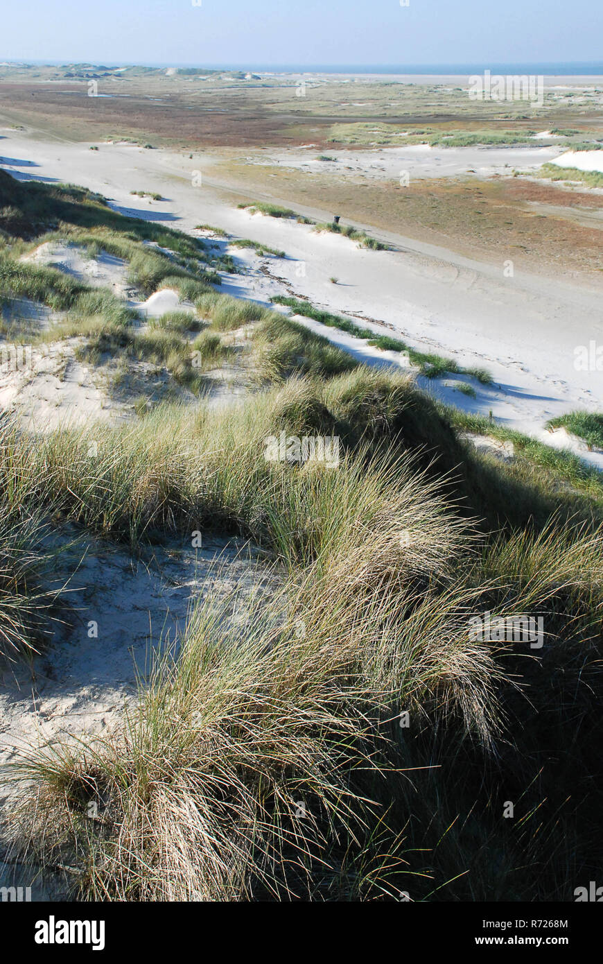 Amrum und sylt -Fotos und -Bildmaterial in hoher Auflösung – Alamy