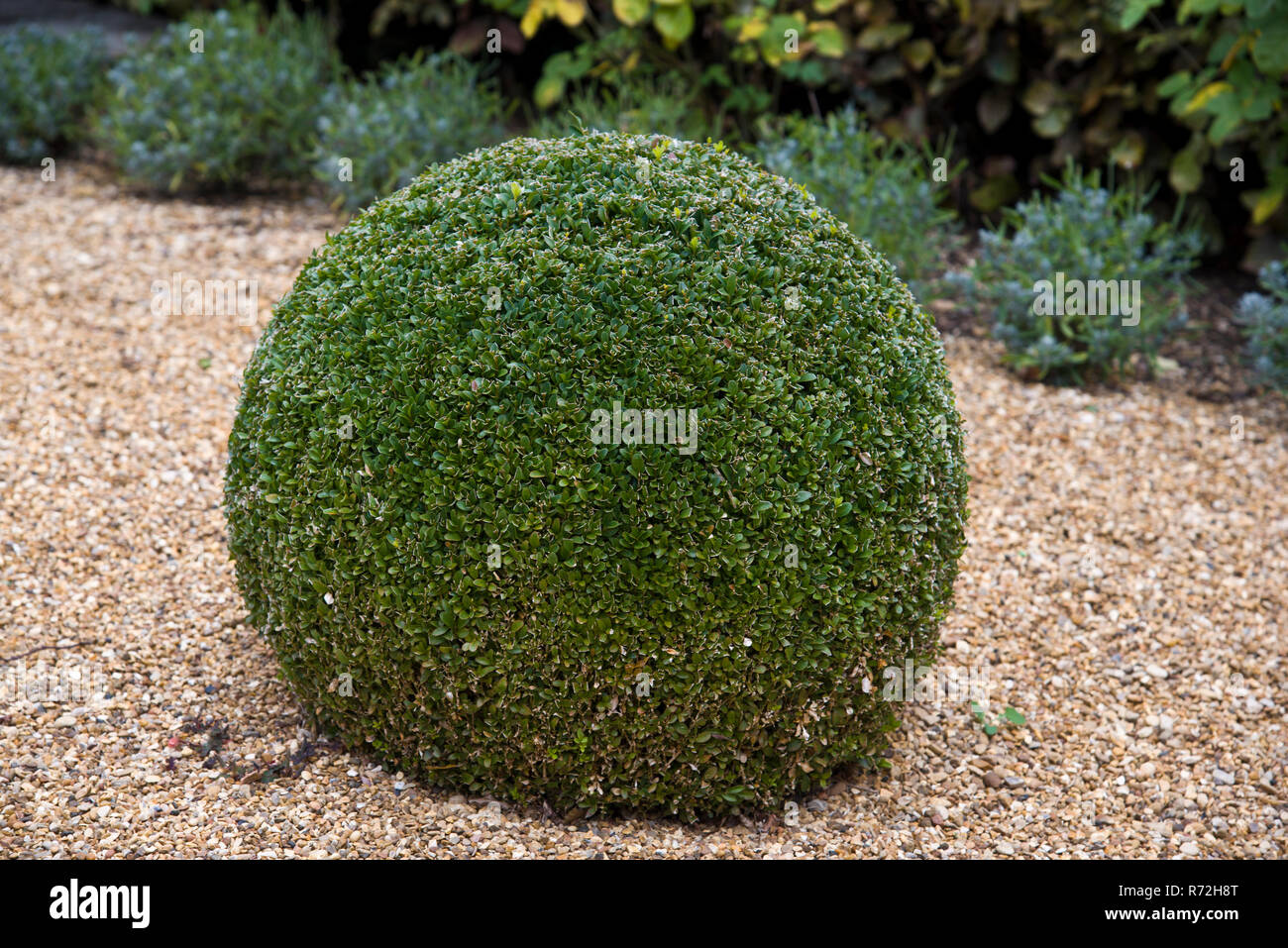 Form einer kugel -Fotos und -Bildmaterial in hoher Auflösung – Alamy
