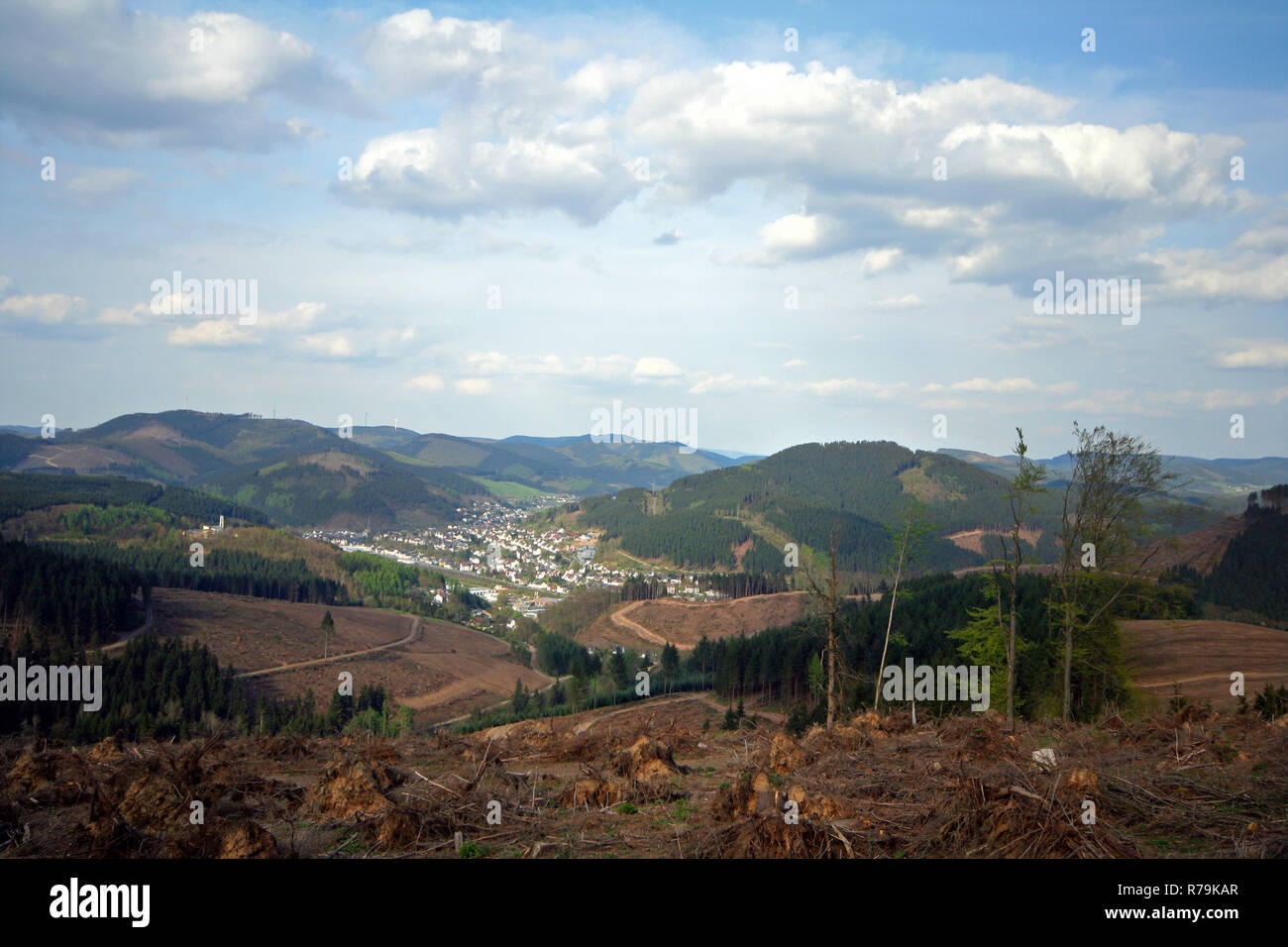Storm kyrill forest -Fotos und -Bildmaterial in hoher Auflösung – Alamy