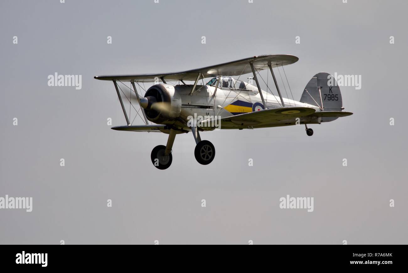 Gladiator ace -Fotos und -Bildmaterial in hoher Auflösung – Alamy