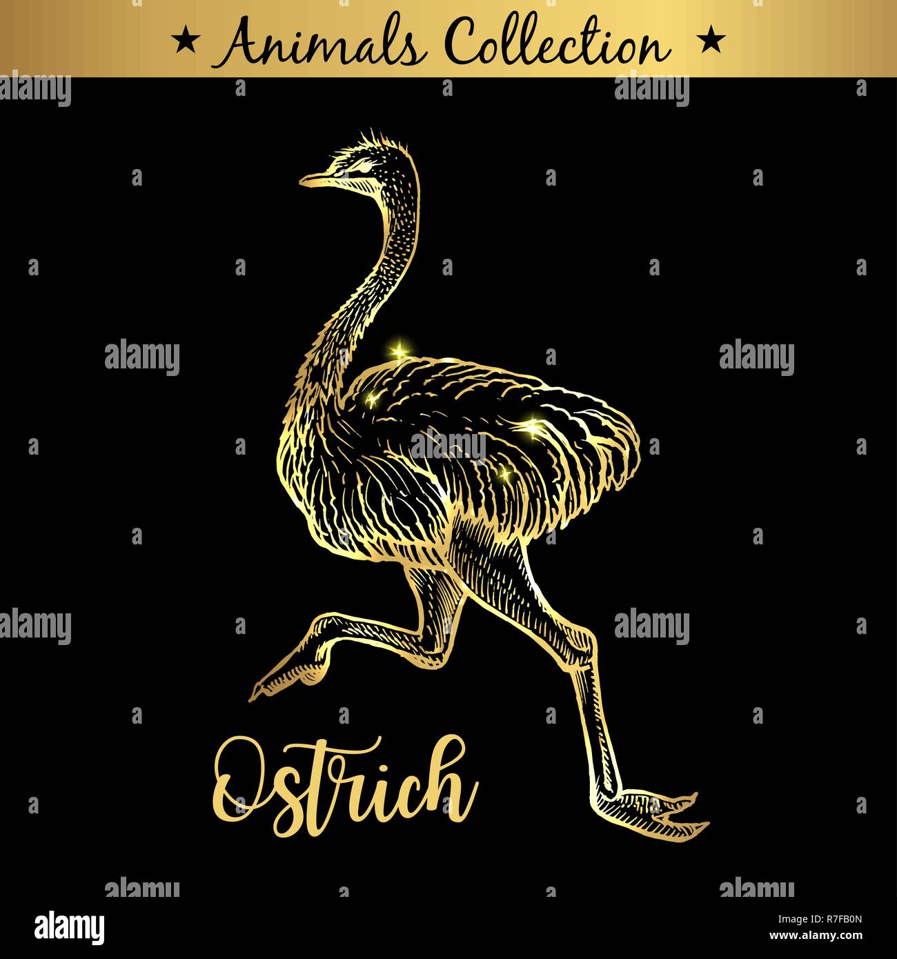 Golden und Royal Hand gezeichnet Emblem der Farm Strauß Vogel Tier ...