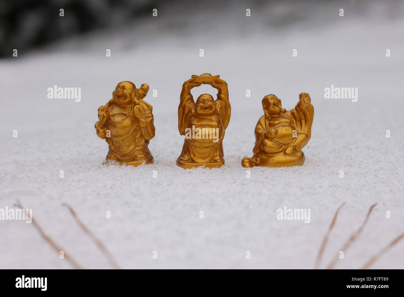 Symbole des glücks -Fotos und -Bildmaterial in hoher Auflösung – Alamy