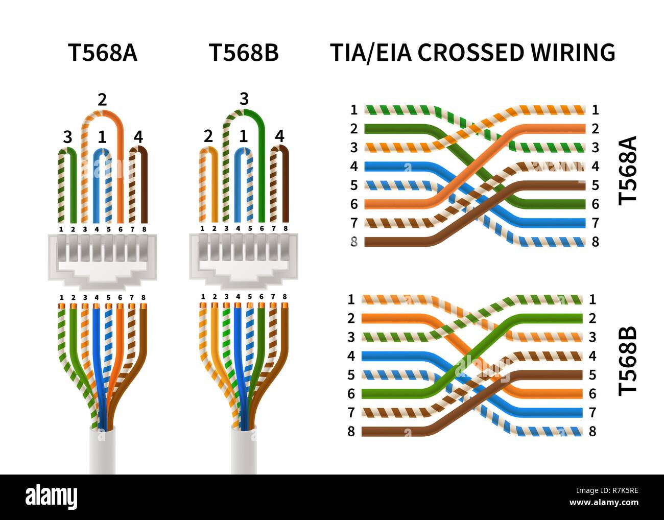 RJ45 crossover Pinbelegung Infografik auf Weiß Stock-Vektorgrafik - Alamy
