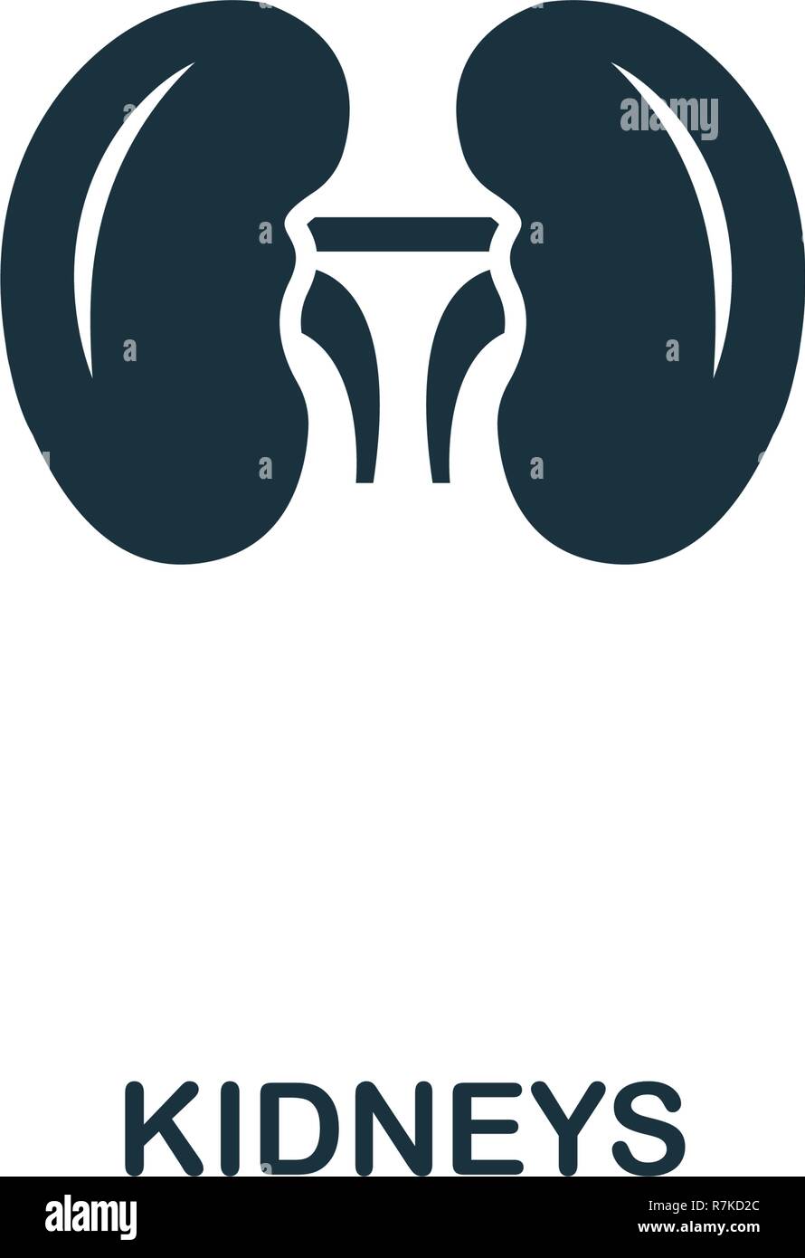 Anatomie nieren Stock-Vektorgrafiken kaufen - Alamy