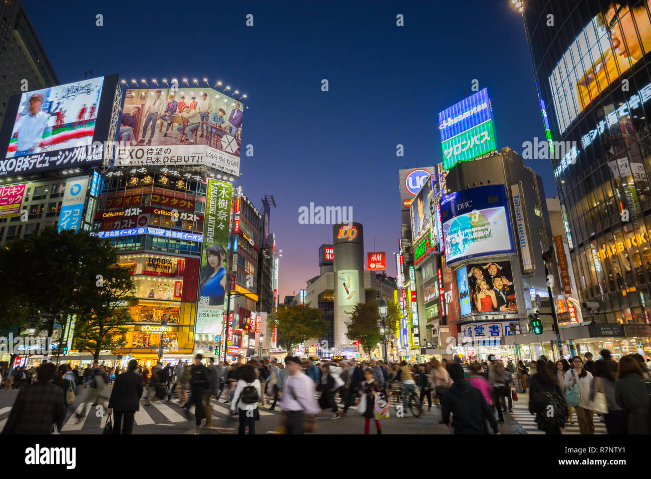 Shibuya nacht -Fotos und -Bildmaterial in hoher Auflösung – Alamy