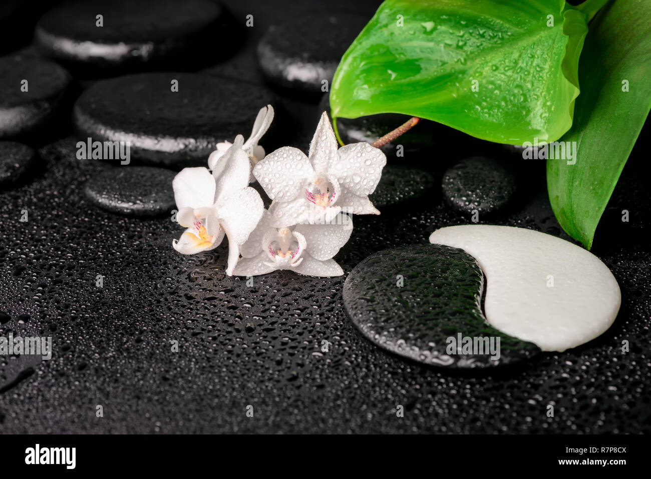 Beautiful spa background yin yang stone -Fotos und -Bildmaterial in ...