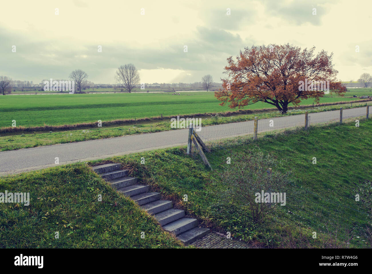 Den Fluß Waal und ein Deich in den Niederlanden, schöne Landschaft ...