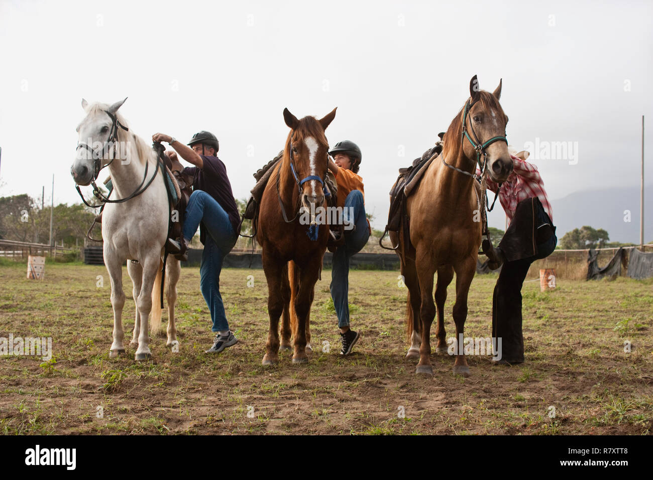 Preteen preteens feet -Fotos und -Bildmaterial in hoher Auflösung – Alamy
