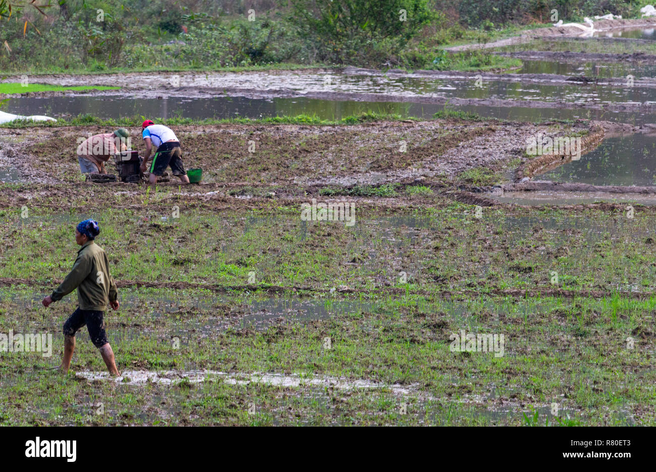 Ackerbau barfuss -Fotos und -Bildmaterial in hoher Auflösung – Alamy