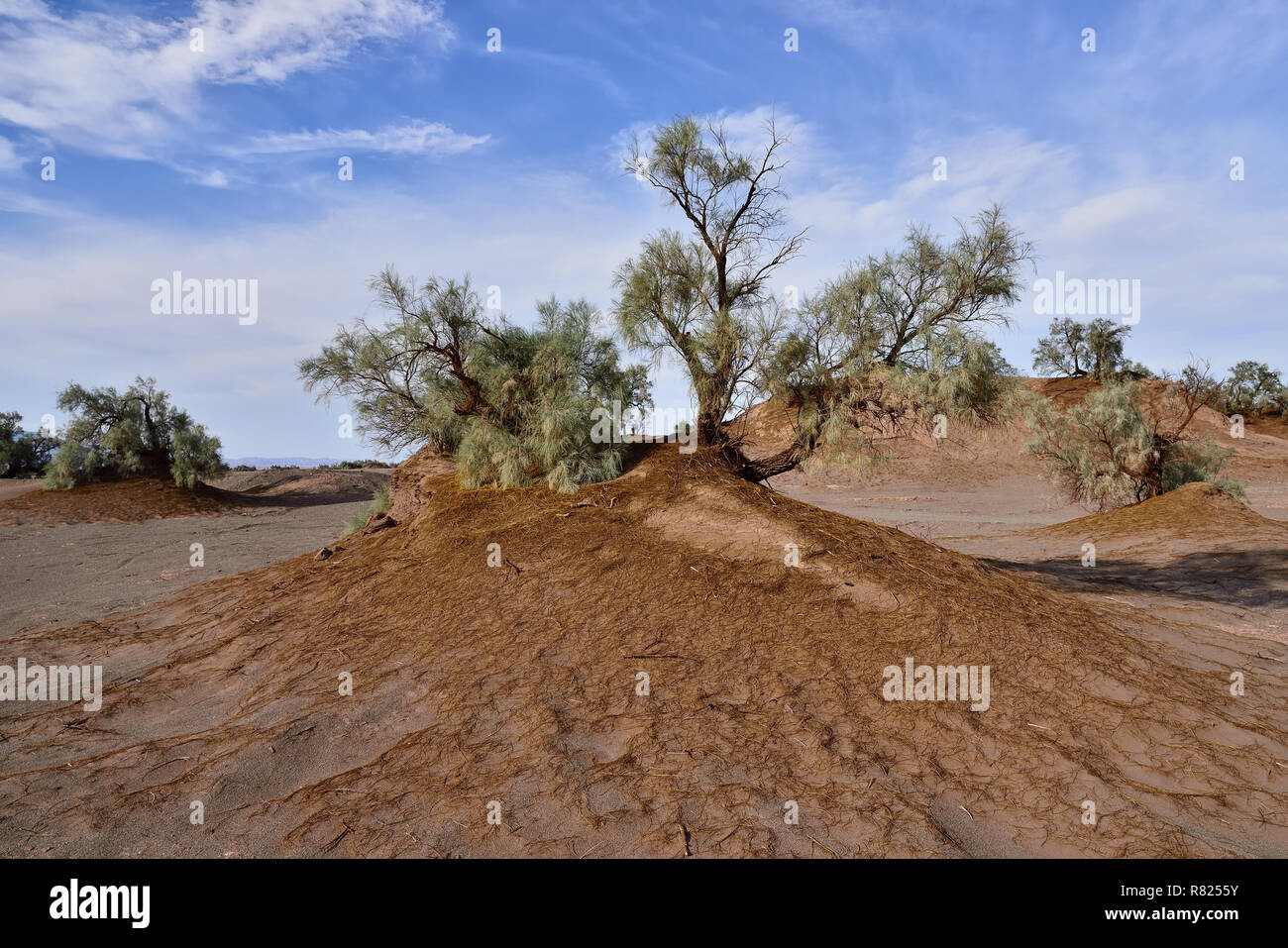 Kalut shahdad -Fotos und -Bildmaterial in hoher Auflösung – Alamy
