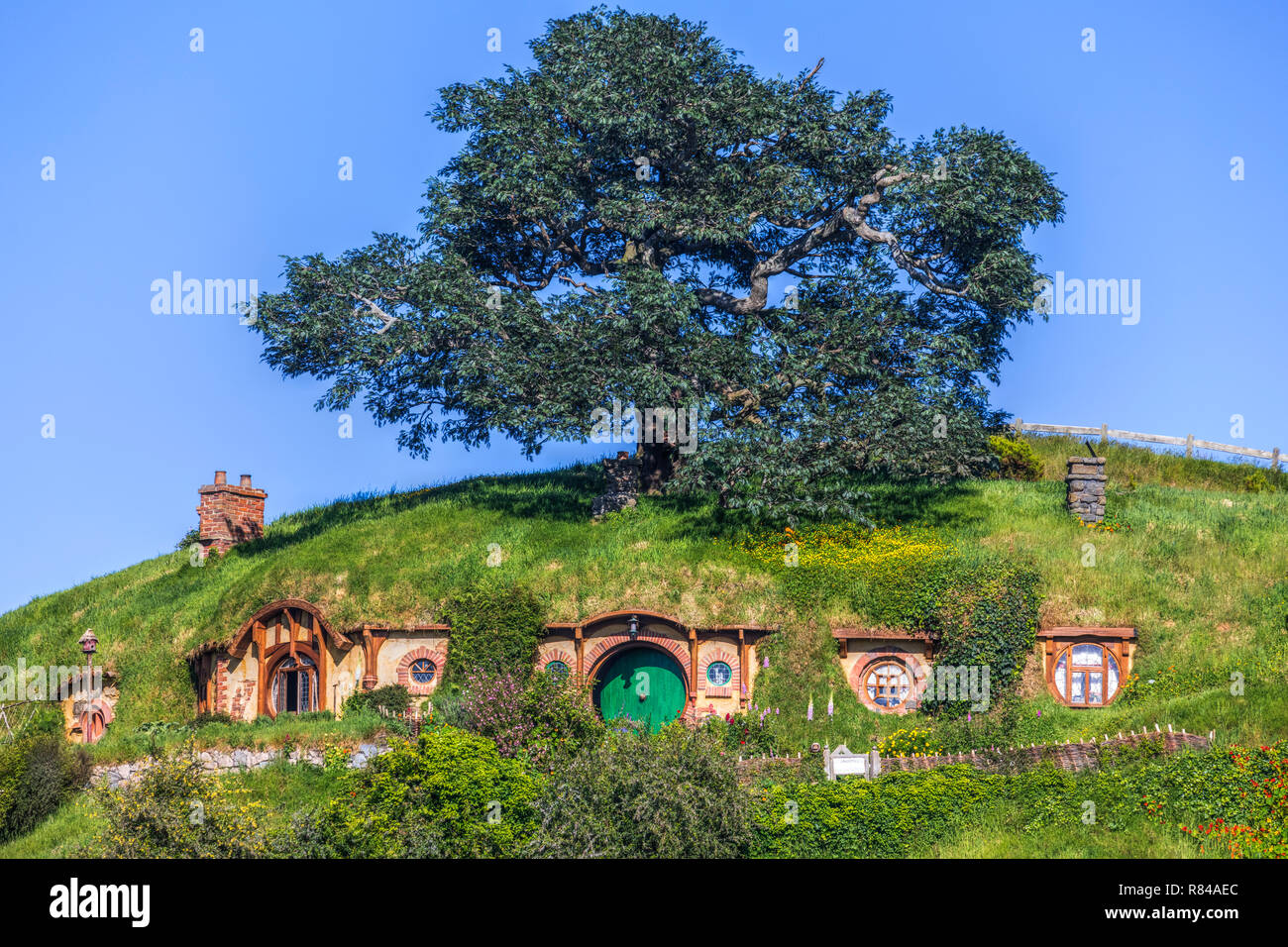 Matamata new zealand -Fotos und -Bildmaterial in hoher Auflösung – Alamy