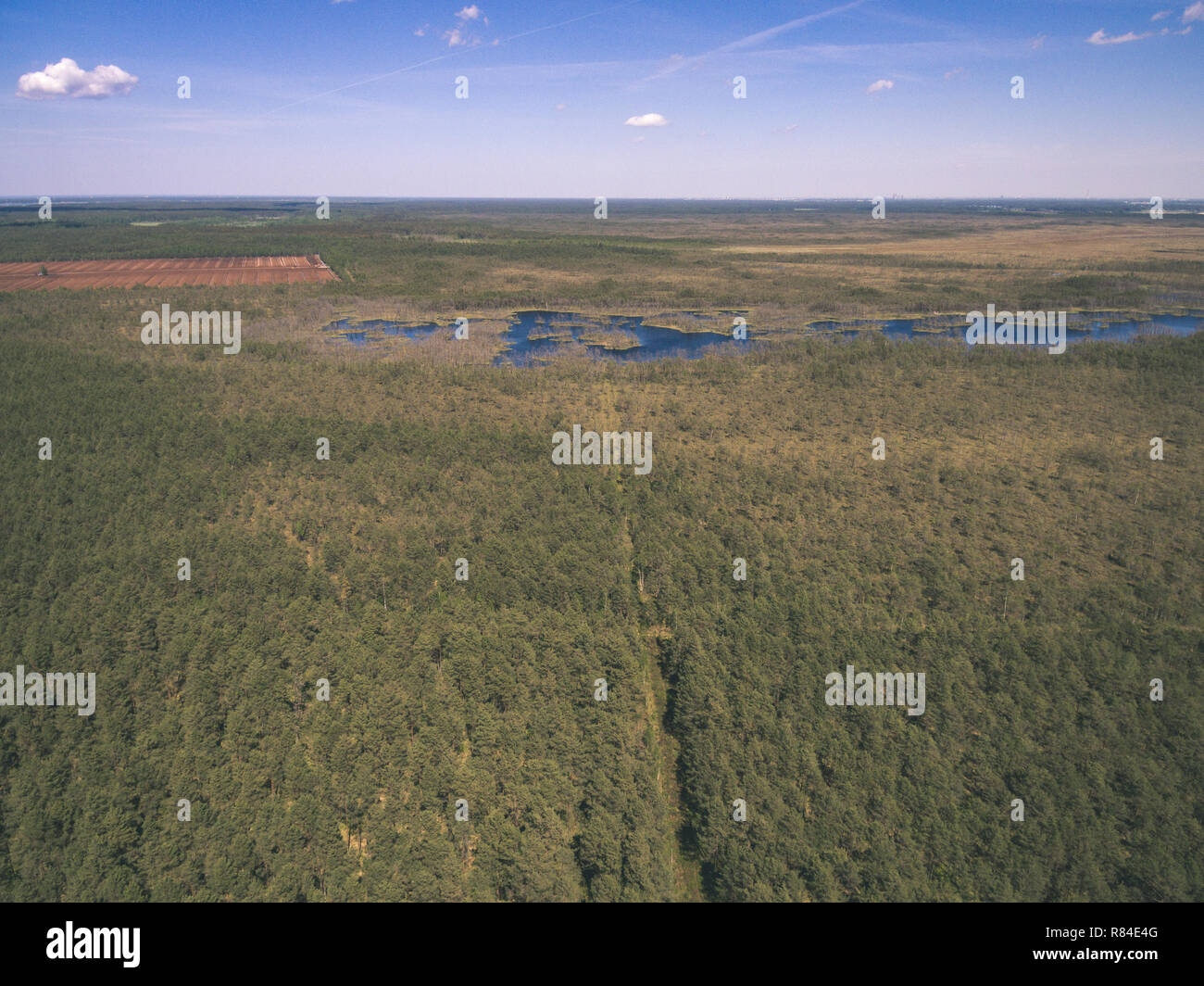 Drone Bild. Luftaufnahme der ländlichen Gegend mit Feldern und Wäldern ...