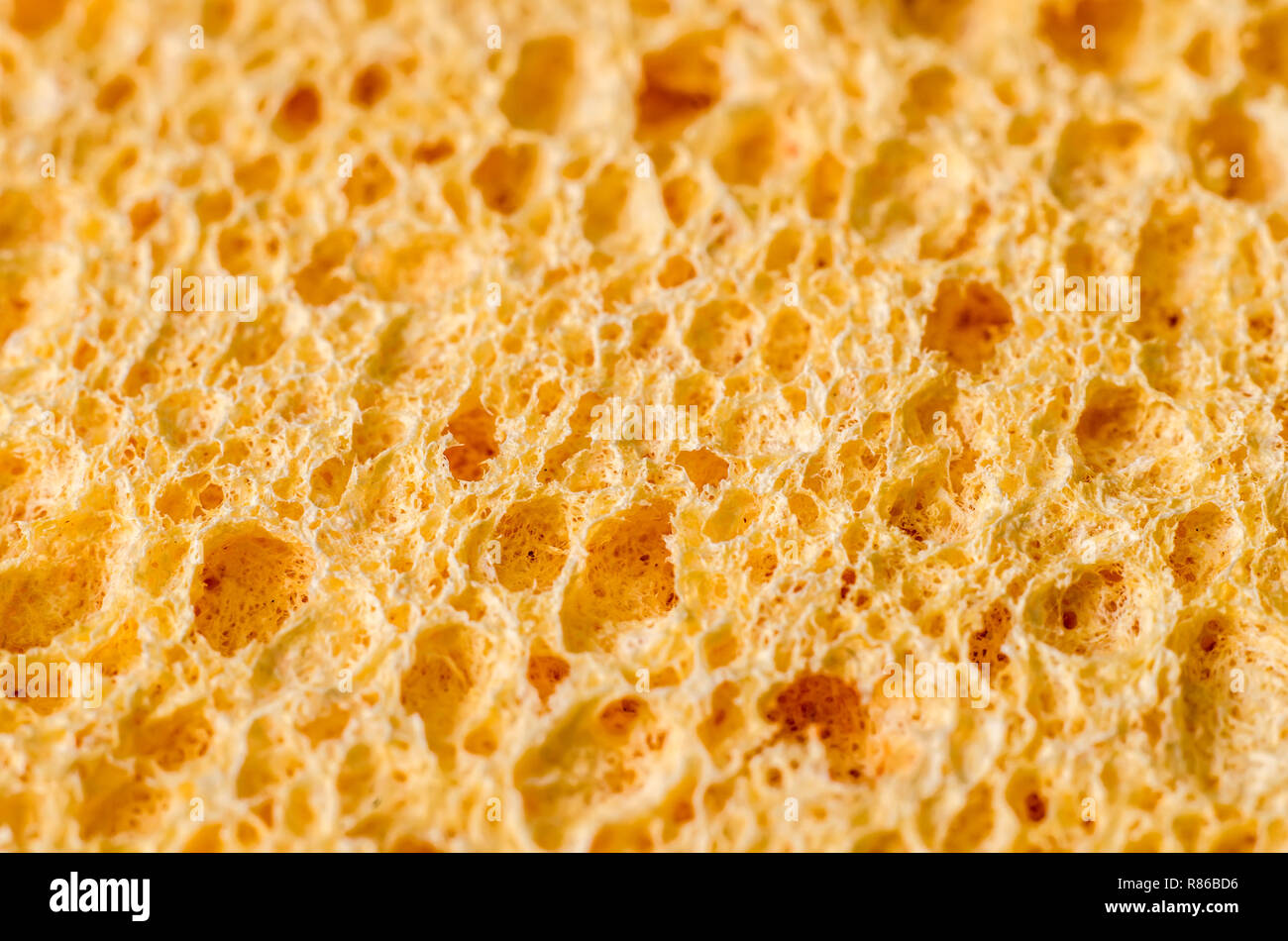 Sponge texture -Fotos und -Bildmaterial in hoher Auflösung – Alamy