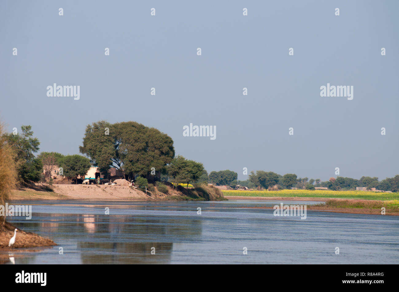Chenab river -Fotos und -Bildmaterial in hoher Auflösung – Alamy