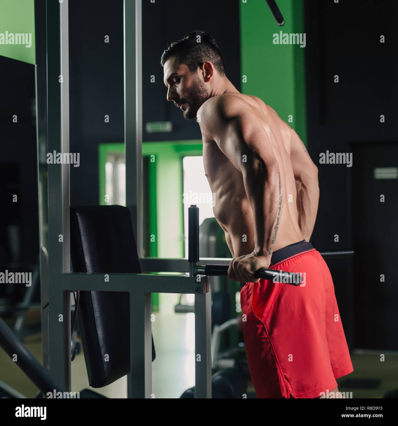 Trizeps bodybuilding -Fotos und -Bildmaterial in hoher Auflösung – Alamy