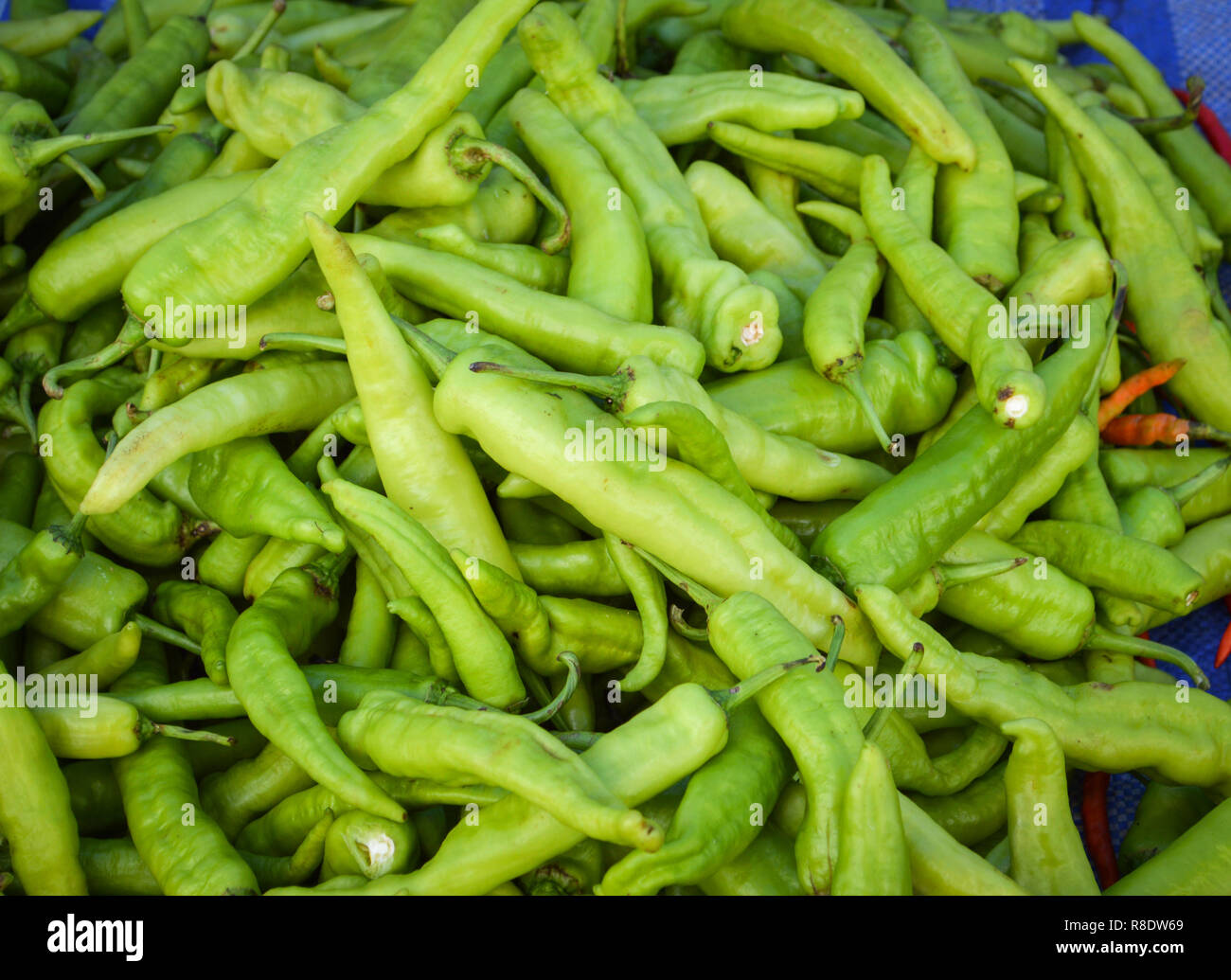 Grüne chilischote Hintergrund - Banane Pfeffer/Paprika Chili auf dem ...