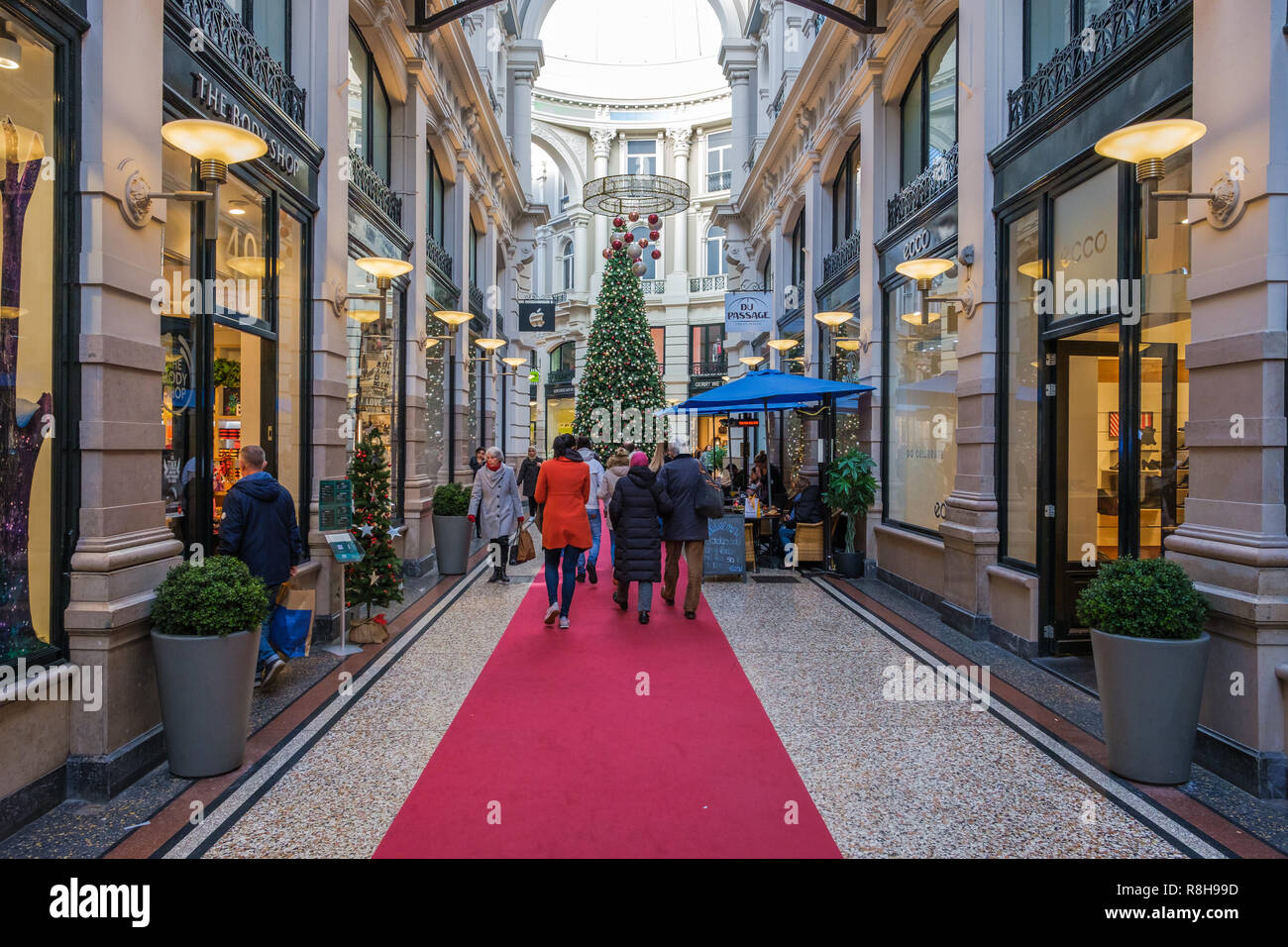Winter Haag Stockfotos und -bilder Kaufen - Alamy